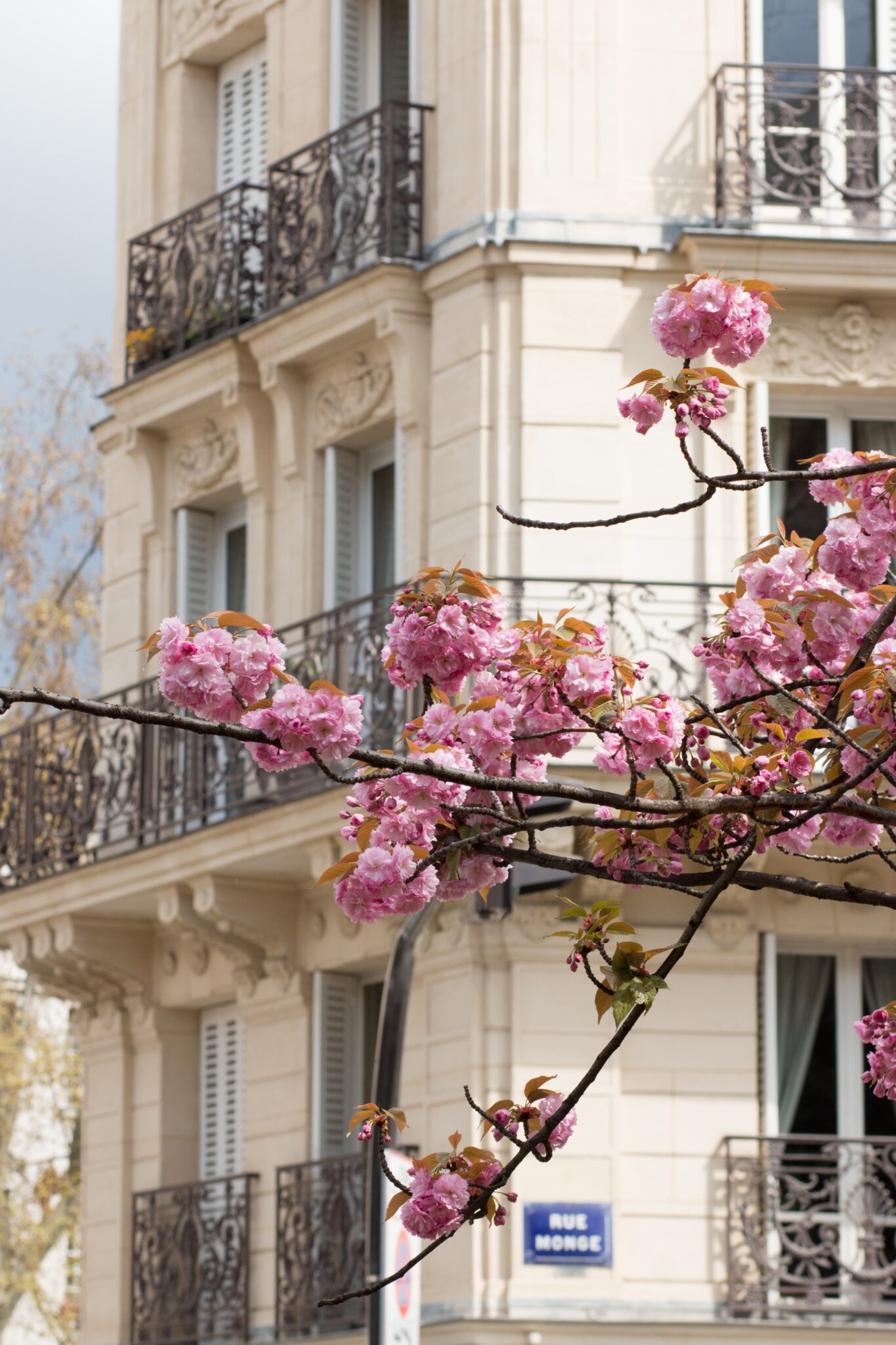 Where to See Paris in Bloom - Everyday Parisian