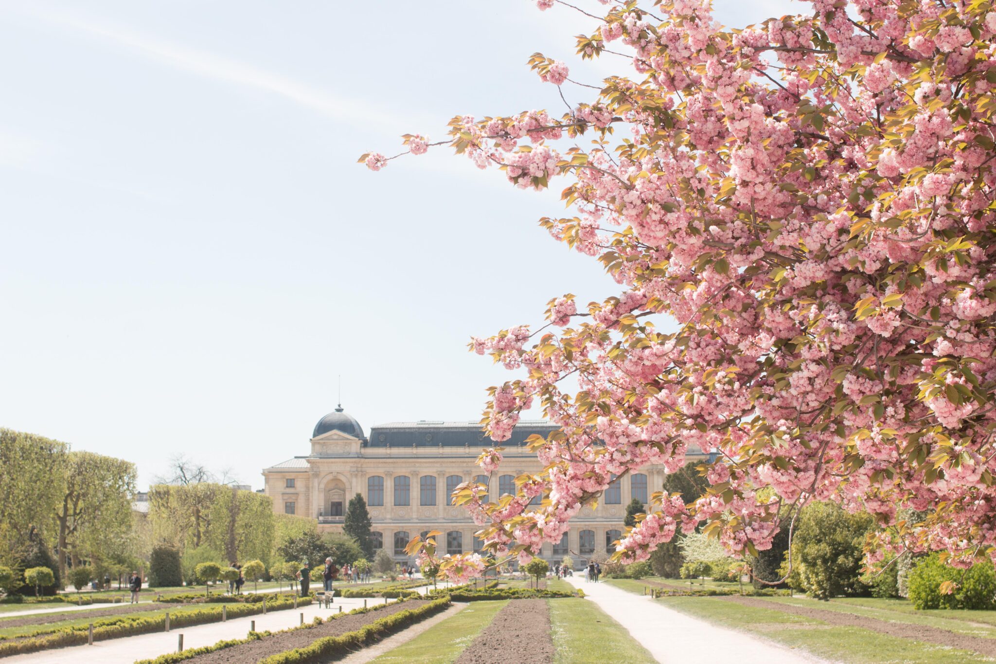 Where to See Paris in Bloom - Everyday Parisian