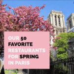 The 5 Best Newsletters for Francophiles - Everyday Parisian