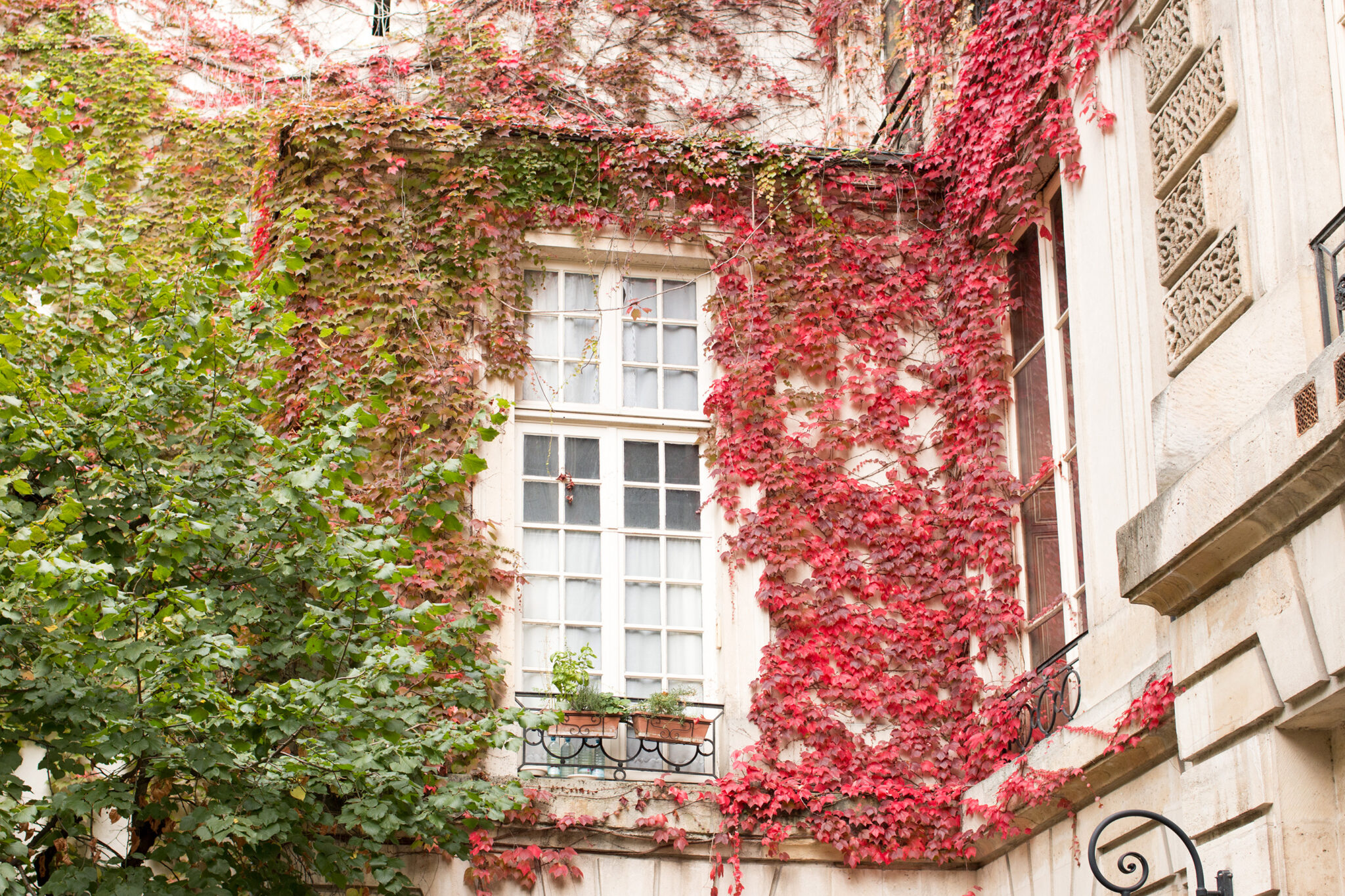 10 Best Places to See Paris in the Autumn - Everyday Parisian
